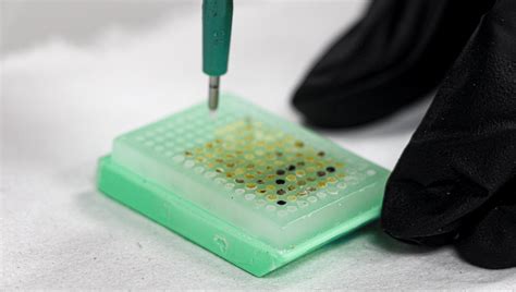 Tissue Microarrays Mymab Biologics