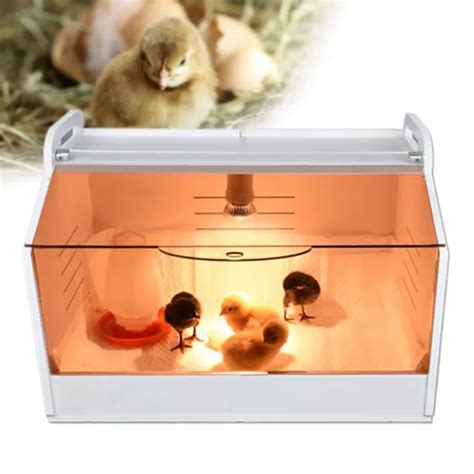 Chicken Incubator Poultry Chick Brooding Box Brooding Machine And Lamp Home Use £67 08 Picclick Uk