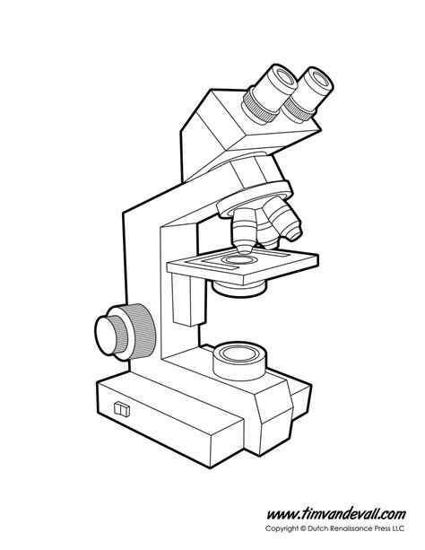 Microscope Diagram Labeled Unlabeled And Blank Parts Of A Microscope