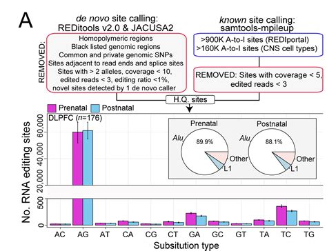 Github Breenms Developmental Rna Editing Spatiotemporal And Genetic Regulation Of Rna Editing