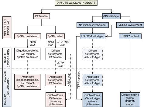 Approach To The High Grade Glioma Patient Clinical Tree