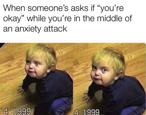 53 Relatable Memes That Are As Funny As They Are True Ebaums World