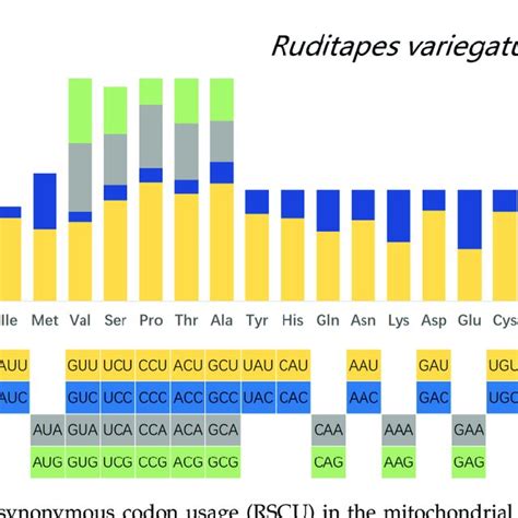 Relative Synonymous Codon Usage Rscu In The Mitochondrial Genome Of Download Scientific