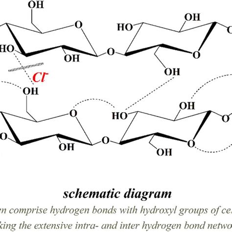 Schematic Diagram Of The Role That Chloride Ions Play Download
