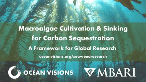 Road Map To Advance Randd For Microalgae Based Carbon Sequestration