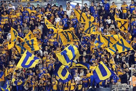 Fotos Imágenes Libres Y Lokos Tigres