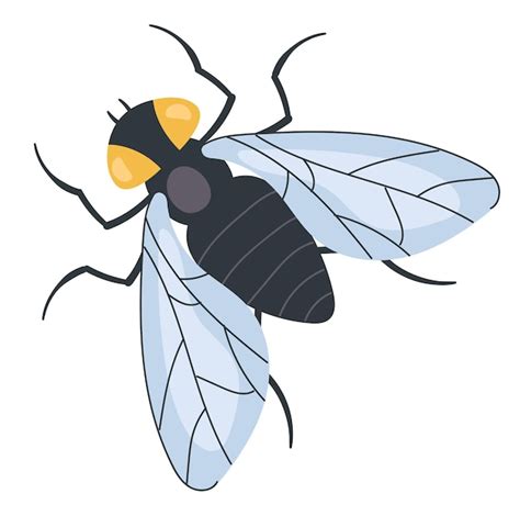 Premium Vector Fly Insect Bug Isolated Concept Flat Graphic Design