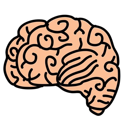 Brain Icon Icons Logos Symbols Free Download Png Svg