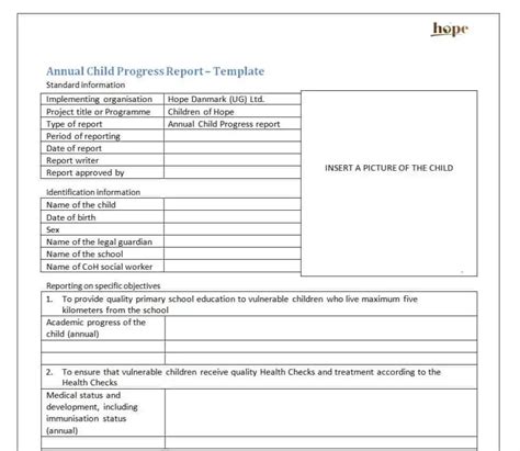 FREE Progress Report Templates Word Excel Templates