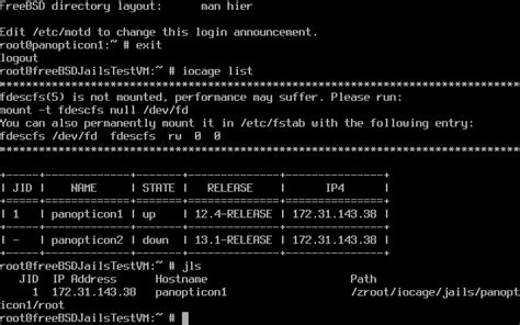 Feature Freebsd Jails For Use With Updates Pfsense Pfsense Bugtracker