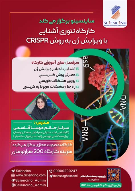 آکادمی علوم و فناوری های نوین ساینسینو آموزش دانش و مهارت