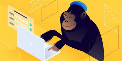 How To Use Mailchimp In Beginner S Guide
