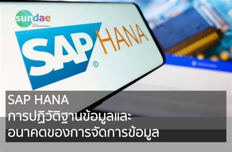 sap hana การปฏิวัติฐานข้อมูลและอนาคตของการจัดการข้อมูล sundae solutions