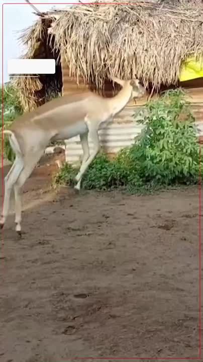 Om Sai Ram Posted On Linkedin