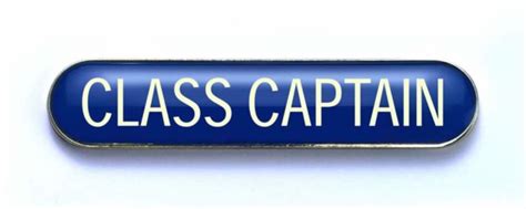 Class Captain School Merit Stickers