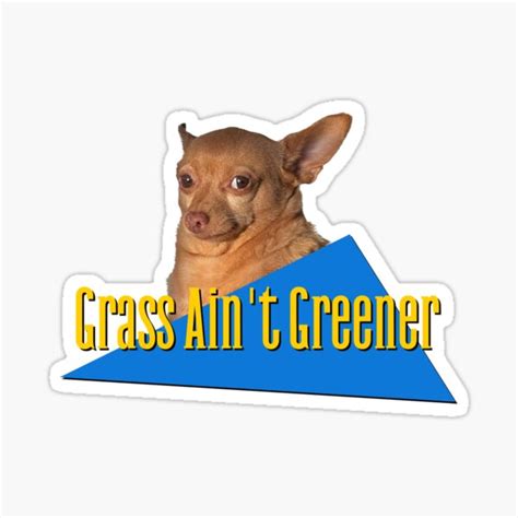 Cheddariniii Shop Redbubble