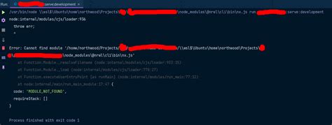 Wsl Cannot Run Nx Commands From The Editor Pane · Issue 52