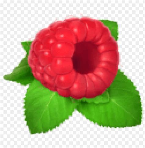 Raspberry PNG Clipart TOPpng