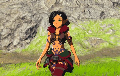 Barbarian And Zora Sets R Botw