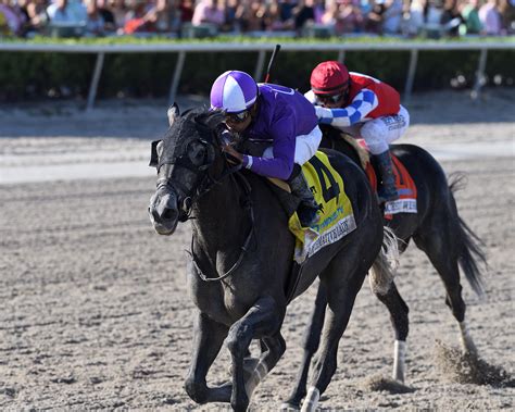 2023 Kentucky Oaks Cheat Sheet Americas Best Racing