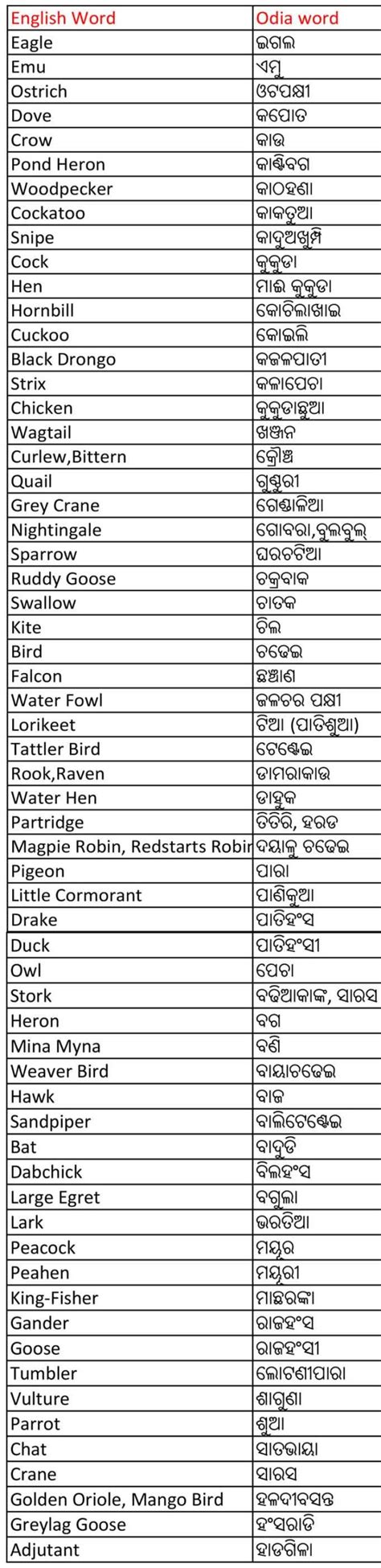 Bird Names In English And Odia