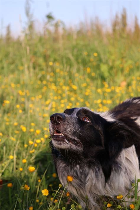 Gallery 2 Ally Milne Photography