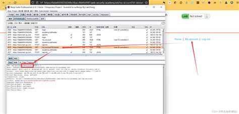 【burpsuite安全练兵场 服务端7】访问控制漏洞和权限提升 11个实验（全） burpsuite 接口鉴权安全测试 csdn博客