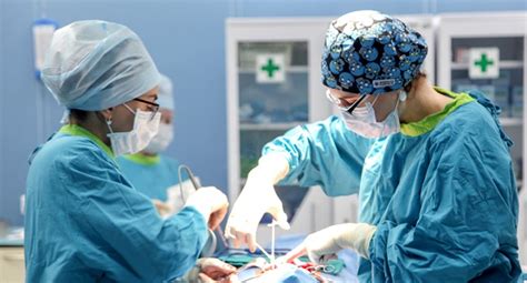 The Appendix Plays An Important Role In The Human Body Afhil