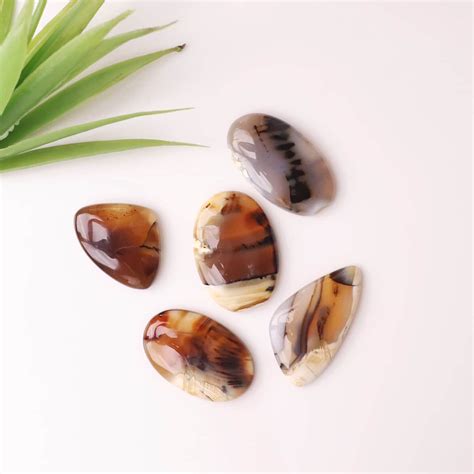 Buy Online Montana Agate Cabochon Shubhanjali