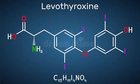 L Thyroxine Stock Illustrations 27 L Thyroxine Stock Illustrations