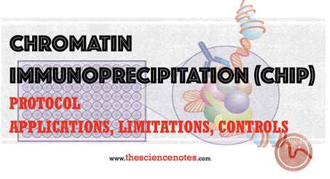 Chromatin Immunoprecipitation Chip Protocol Applications