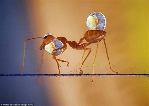 Celal Yasin Nari On Linkedin Inspiration Perseverance