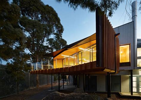 Branch Studio Architects Adds Timber Clad Extension To School Library
