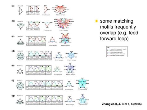 Ppt Si 614 Network Subgraphs Motifs Biological Networks Powerpoint Presentation Id4772946
