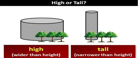 High 和 Tall 的用法区别习题（答案及解析） 知乎