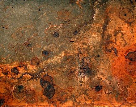 Rust Wiktionary The Free Dictionary