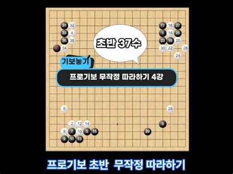 바둑기보 무작정 따라하기 강 초반 수 프로기보 알파고기보 바둑입문포석 초반포석 AI기보 바둑첫걸음 바둑초보 바둑강의 포석 행마 프로기보무작정따라