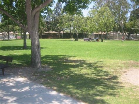 Revitalizing Our Green Spaces The Future Of Culver City Parks City