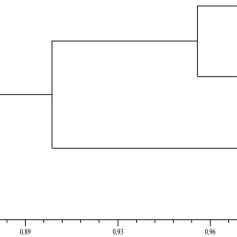 UPGMA Cluster Analysis Based On Genetic Identity Between Remaining Download Scientific Diagram