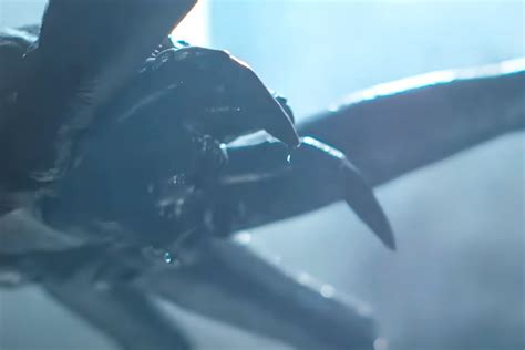 Horror Movie Sting Used Lotr Special Effects Team For Creepy Spiders