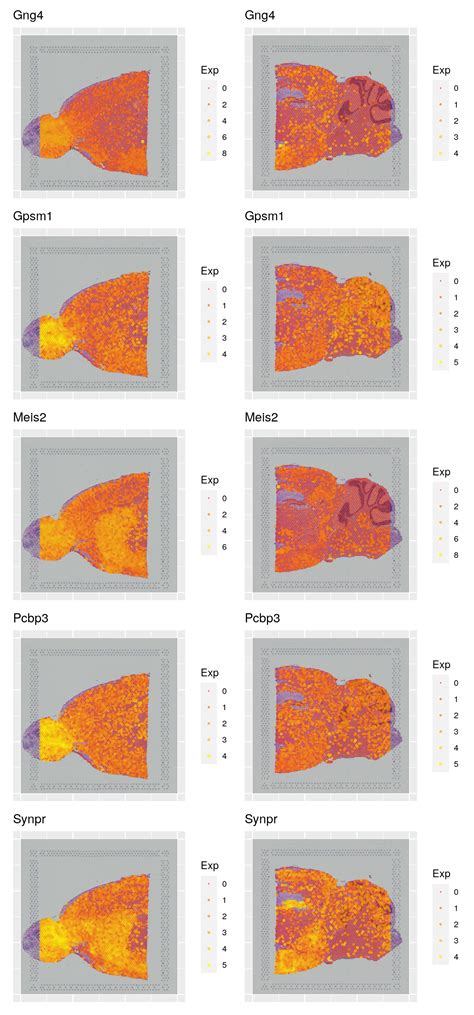Spatial Transcriptomics