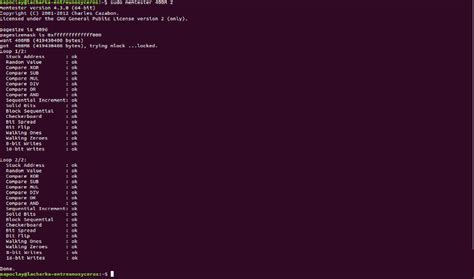 检查Ubuntu系统上已安装已使用和可用的RAM