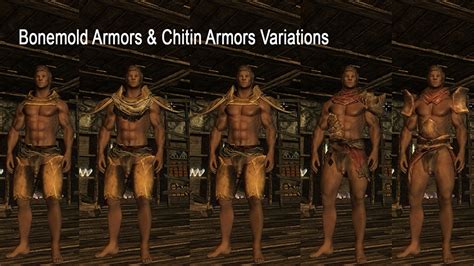 Sos Dragonborn Male Armors Conversion For Sos Downloads Skyrim