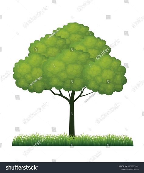 Green Tree Grass Vector Outline Illustration Stock Vector Royalty Free 2166975187 Shutterstock