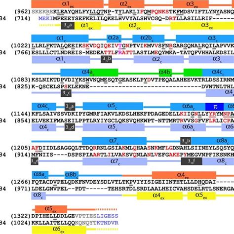 Surface Representation Of Sequence Conservation And Model Contacts Download Scientific Diagram