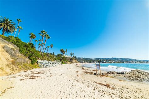 10 Best Places To Go Snorkeling In California Celebrity Cruises