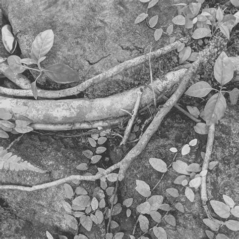 Systems Ruby Graceful Dev