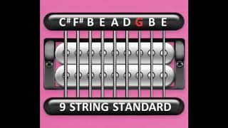 String Guitar Tuning Standard