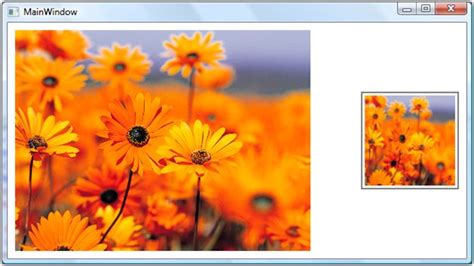Thumbnail In Wpf