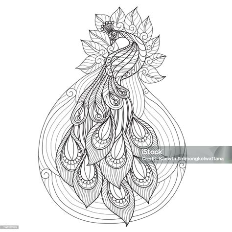 Ilustrasi Merak Yang Digambar Dengan Tangan Dalam Gaya Doodle Ilustrasi Stok Unduh Gambar